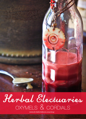 Herbal Electuaries, Oxymels, and Cordials - Natural Remedies Mom